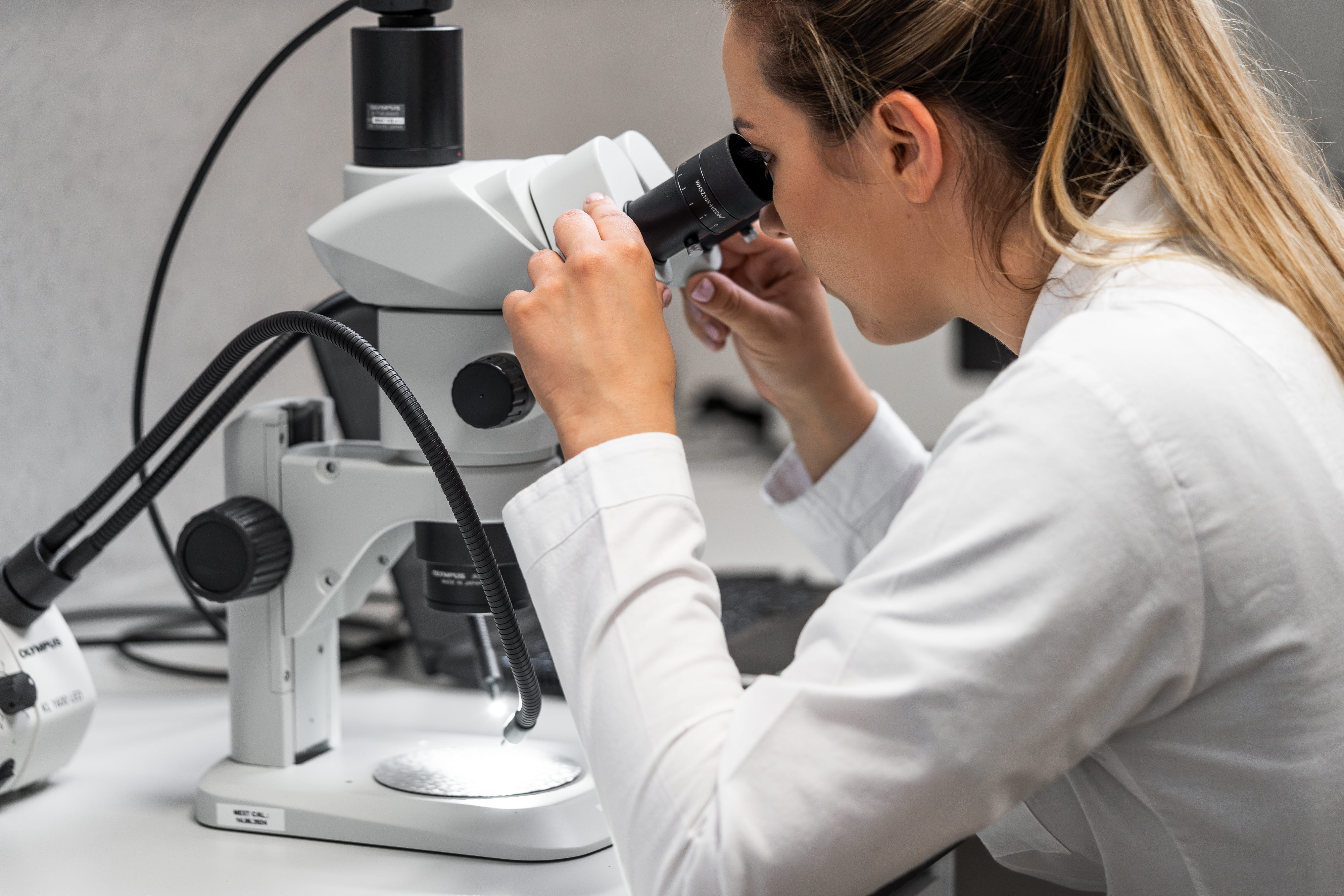 Protan's laboratories